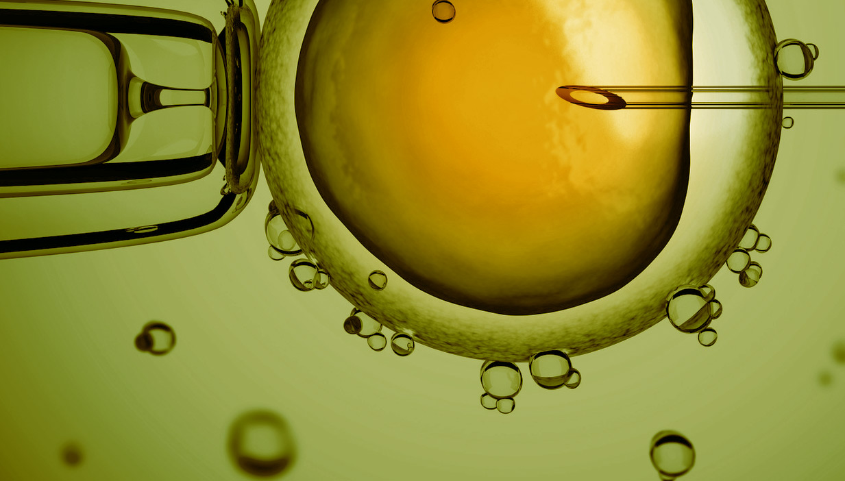 Kontakt Informationen - Bangerter-Rhyner-Stiftung